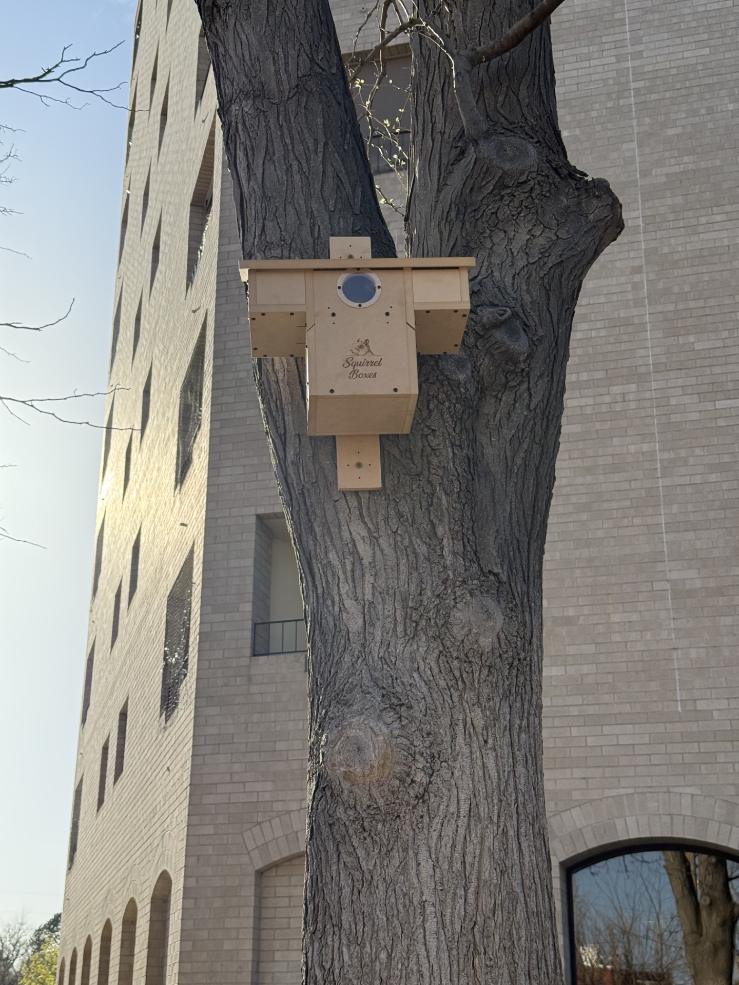 Twin Tails Lodge Squirrel Box - Squirrel Boxes