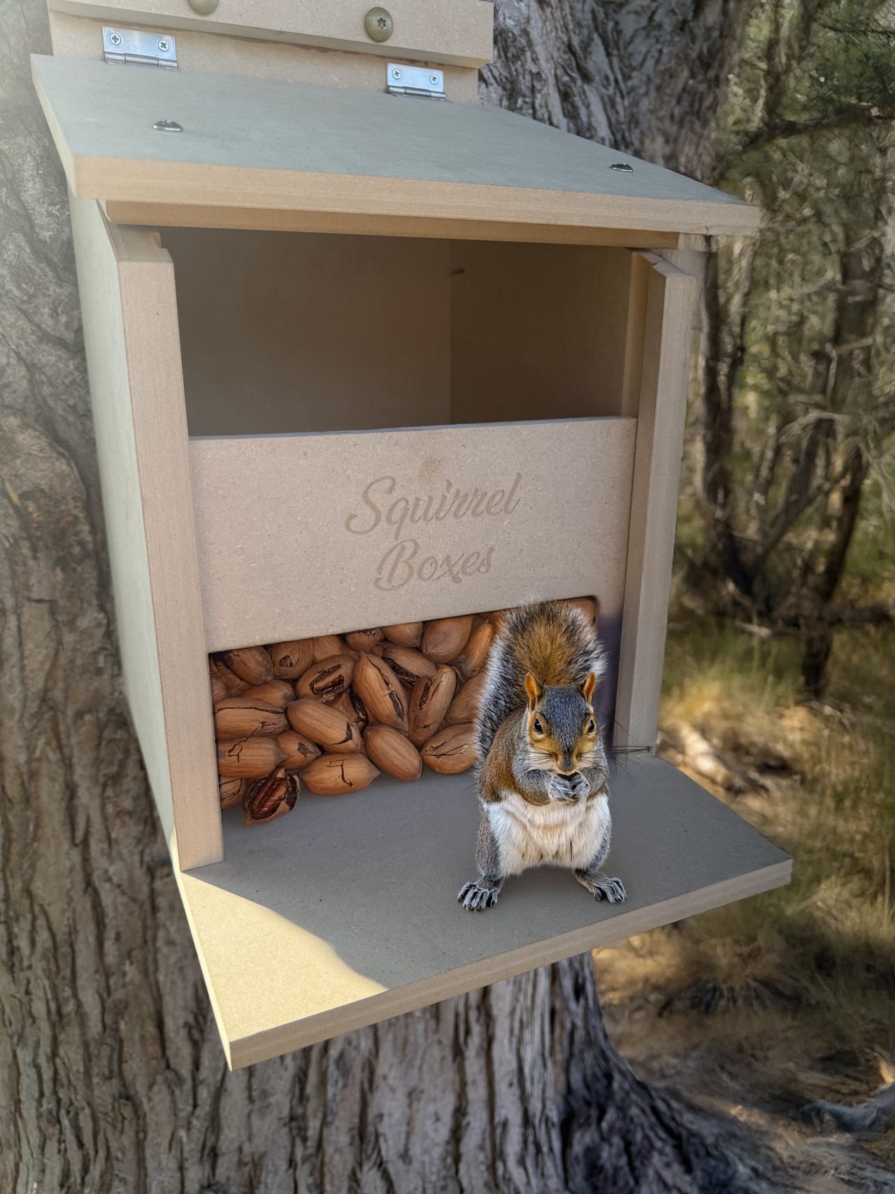 About Squirrel Boxes - Who We Are & Why We Build Nest Boxes