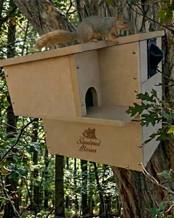 The Watchtower Drey – Squirrel Boxes